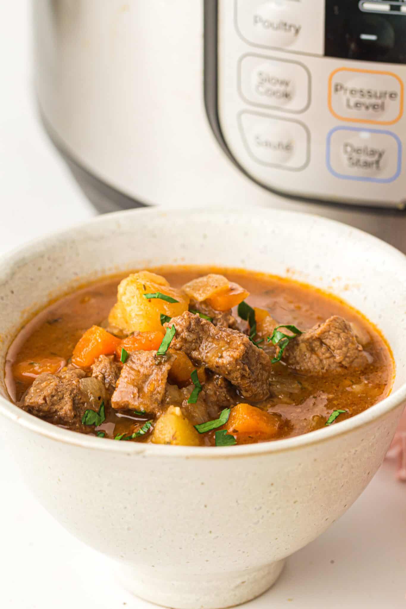 25+ Easy Stews and Soup for Fall - One Wholesome Life