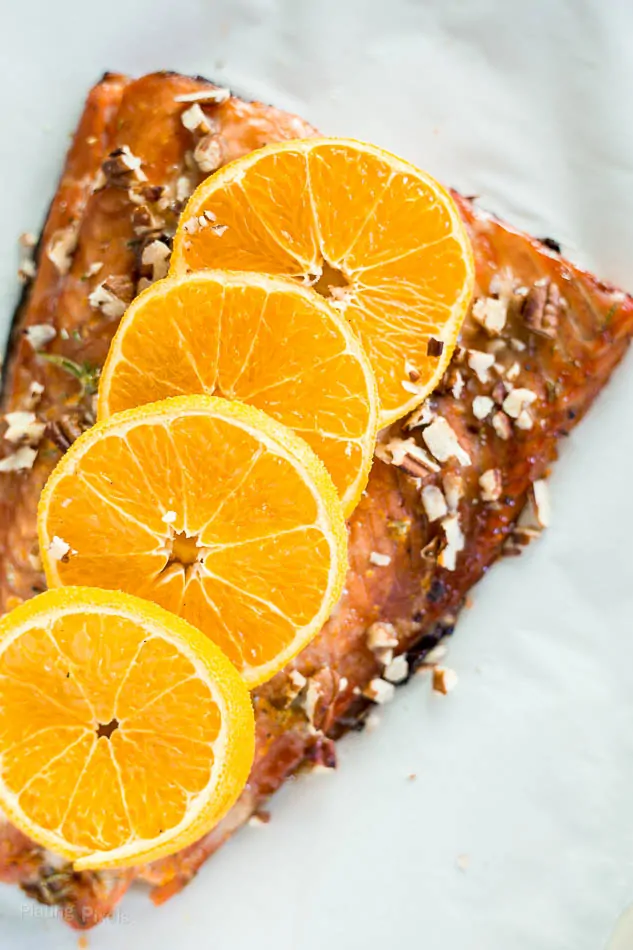 24 Best Fall Salmon Recipes for Easy Weeknight Meals - One Wholesome Life